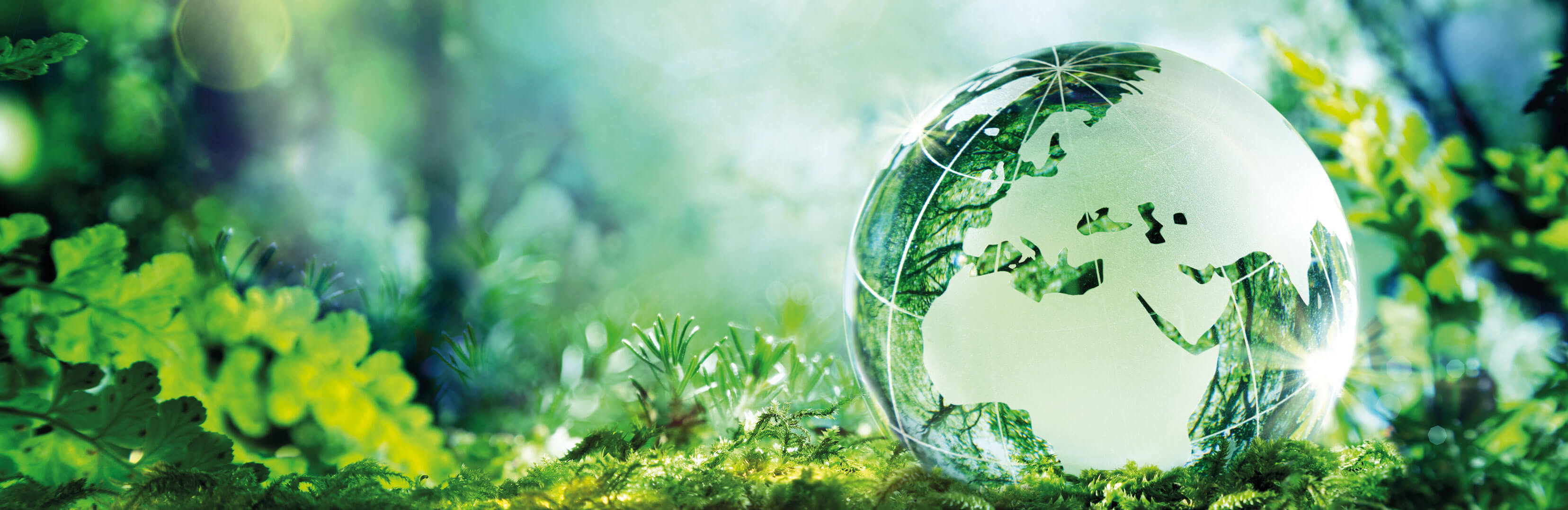 Umwelt & Verantwortung | JULABO GmbH